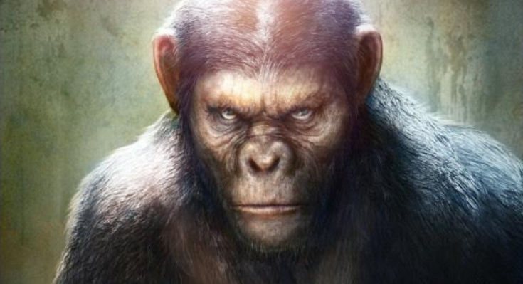 How Are We to Understand the Expression: Third Monkey On Noah's Ark ...