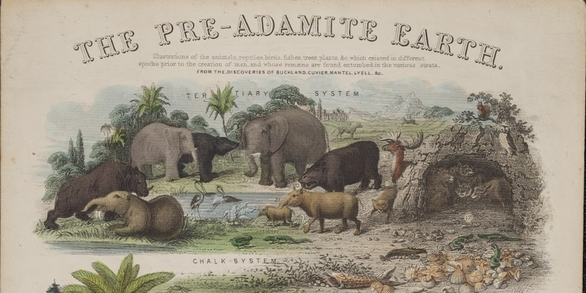 Debunking the Pre-Adamite Doctrine: No Humans or Death Before Adam and ...