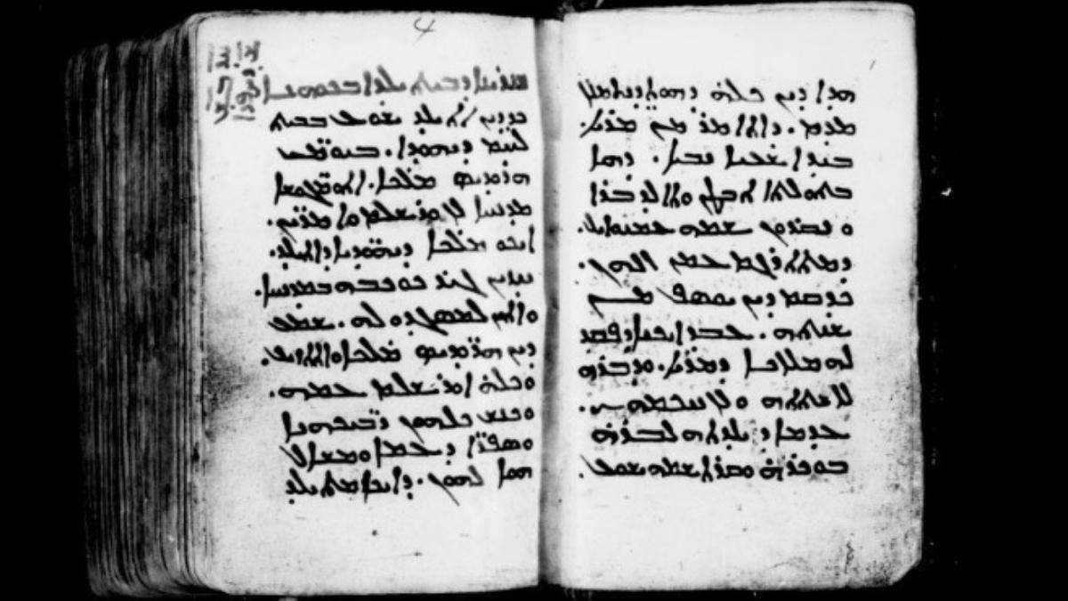 The Syriac Versions of the New Testament: Textual History, Transmission ...