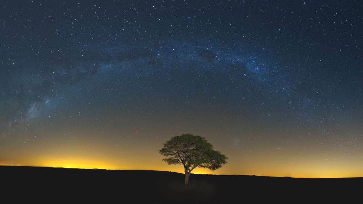 What Did the Tree of Knowledge Symbolize? — Exploring Genesis 2:17 and ...